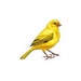 Canary Sticker Vinyl Bird Decals - Etsy