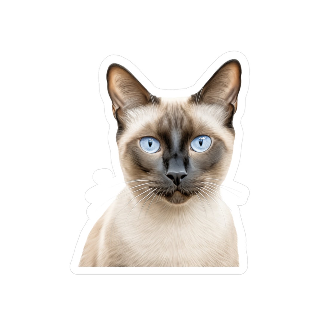 Siamese Cat Sticker | Pet Vinyl Decal | Animal Car Decal | Laptop ...