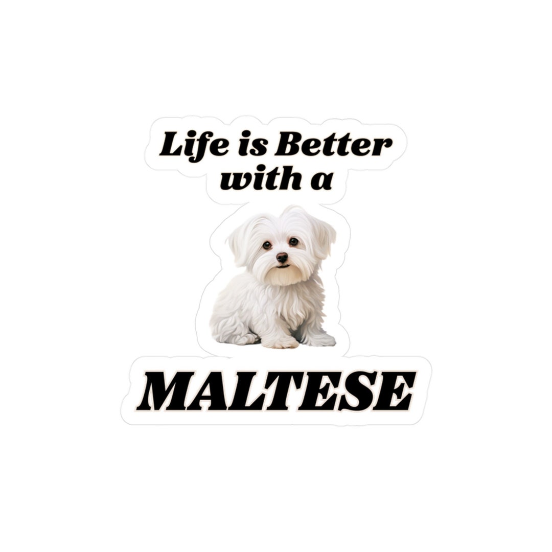 Maltese Sticker - Vinyl Dog Decals - Etsy
