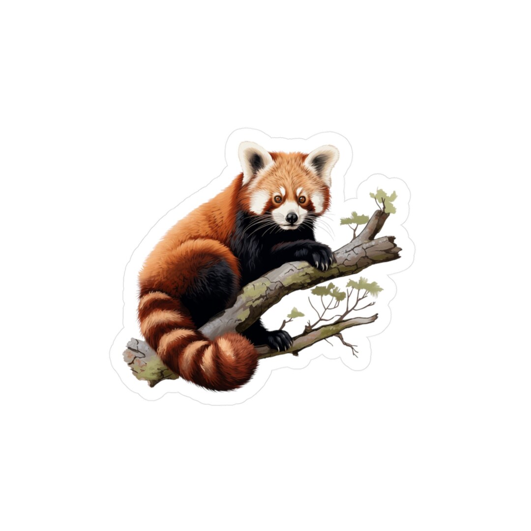 Red Panda Sticker - Kiss-cut Vinyl Animal Decals - Etsy
