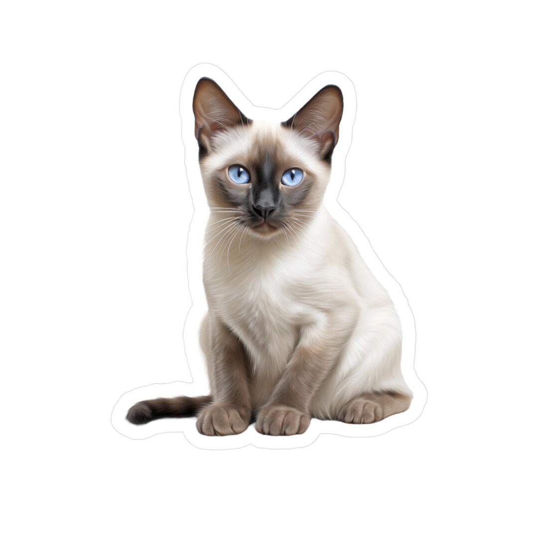 Siamese Cat Sticker | Pet Vinyl Decal | Animal Car Decal | Laptop ...