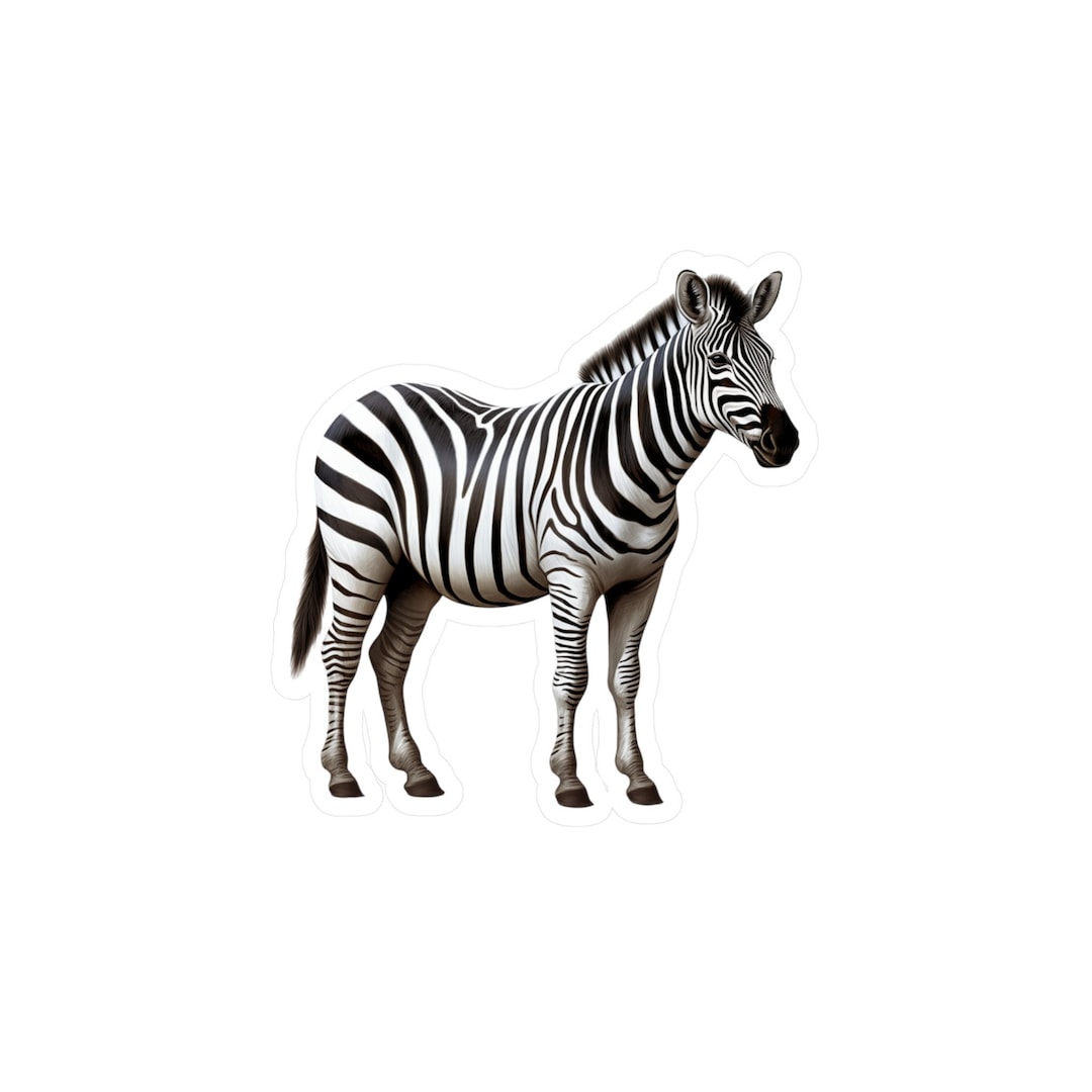 Zebra Sticker | Animal Vinyl Decal | Car Decal | Laptop Sticker | Zebra ...