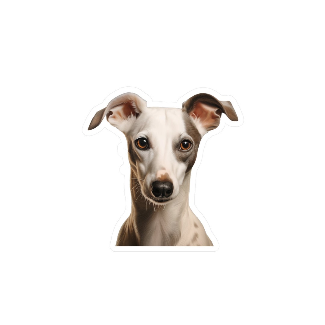 Whippet Sticker | Dog Vinyl Decal | Pet Car Decal | Whippet Laptop ...