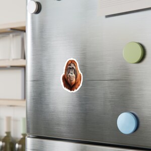 Orangutan Sticker | Monkey Vinyl Decal | Car Decal | Laptop Sticker ...
