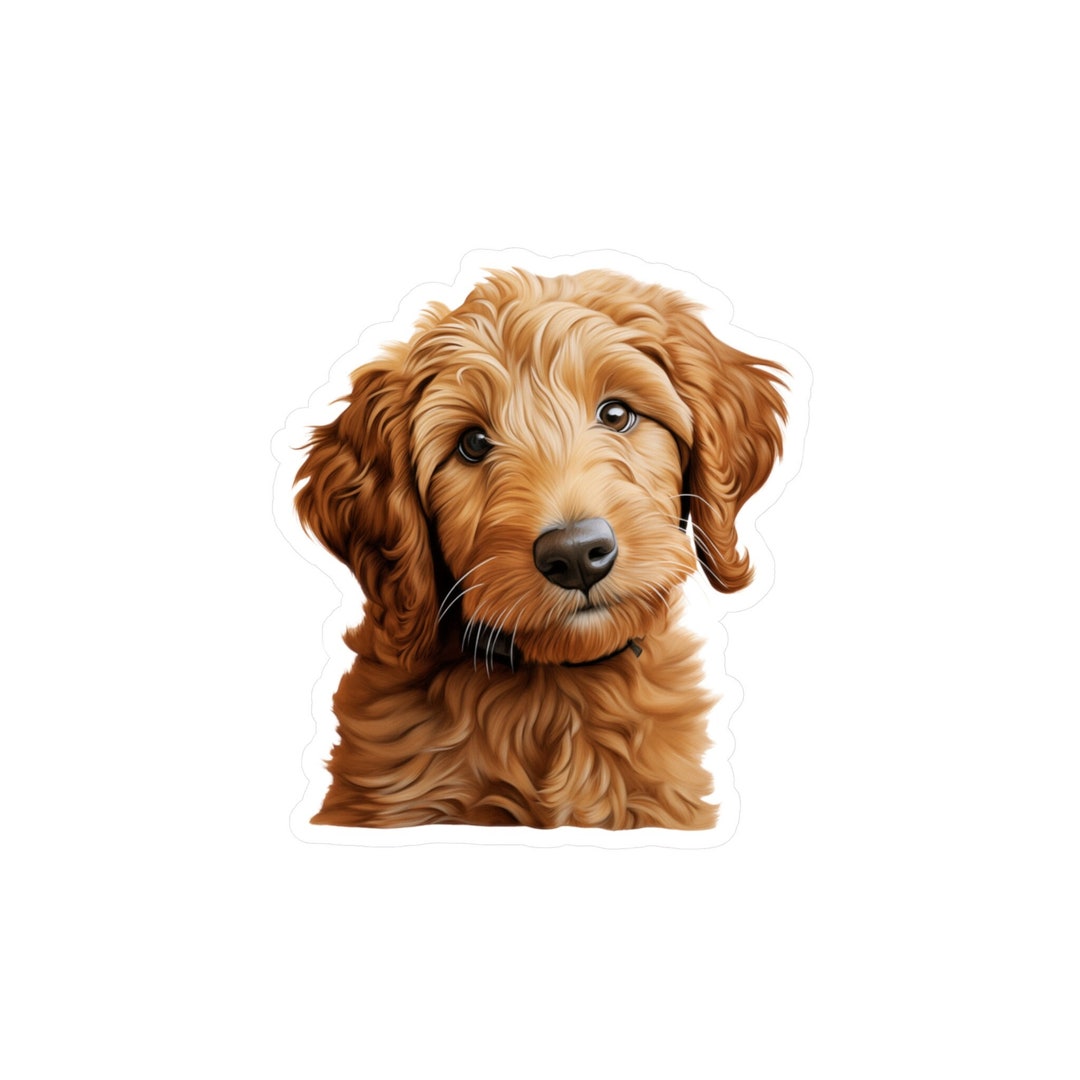 Goldendoodle Sticker - Vinyl Dog Decals - Pet Stickers - Etsy