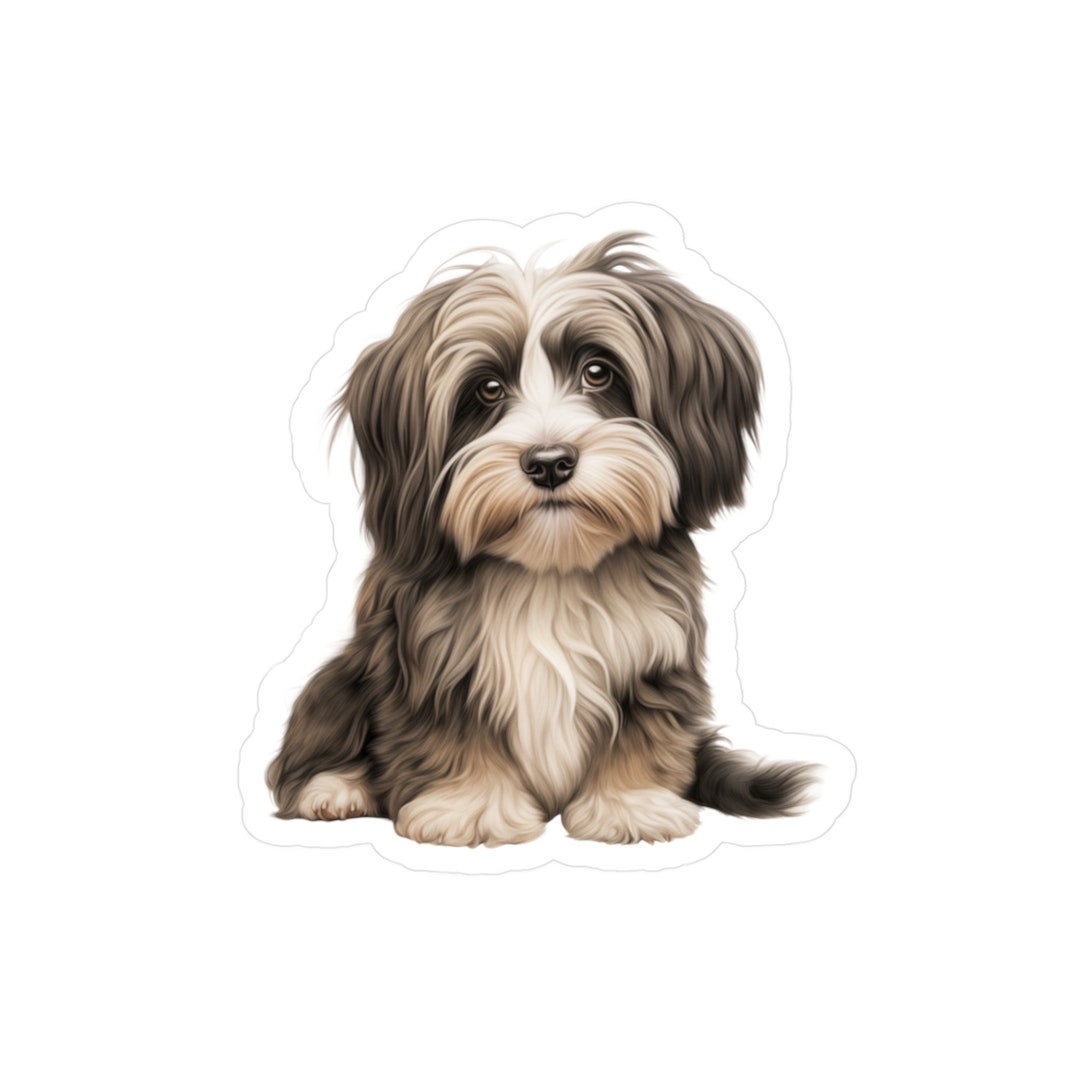 Havanese Sticker - Vinyl Dog Decals - Dog Decals - Etsy