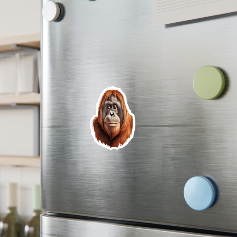 Orangutan Sticker Monkey Vinyl Decal Car Decal Laptop Sticker Window ...