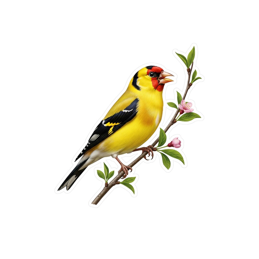 Finch Vinyl Sticker, Bird Lover Sticker, Nature Decal, Laptop Decor ...