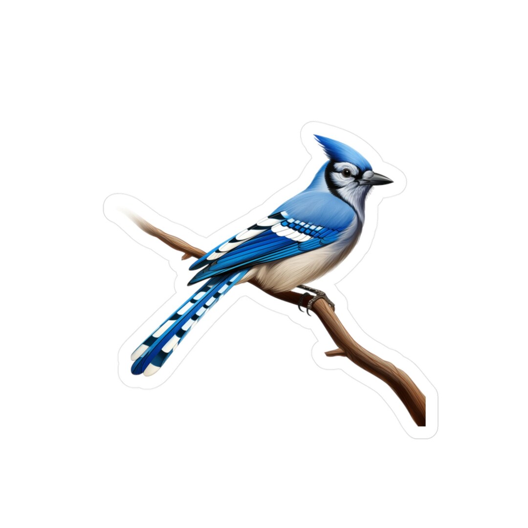 Blue Jay Sticker | Bird Vinyl Decal | Bird Car Decal | Blue Jay Laptop ...