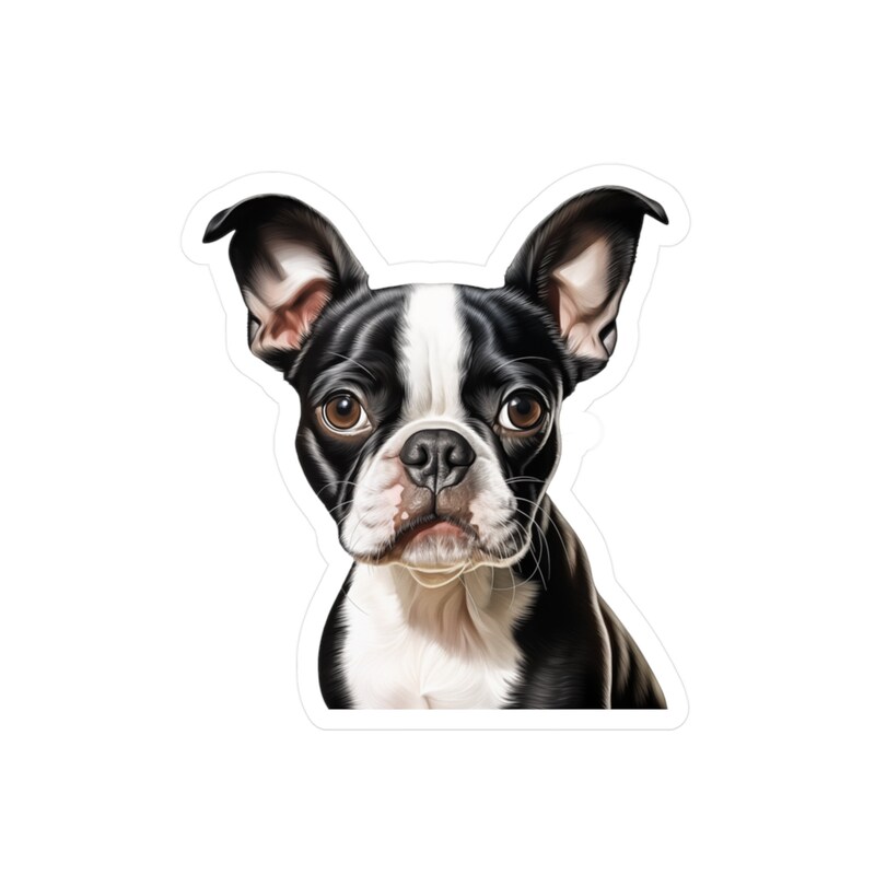 Boston Terrier Decal - Etsy
