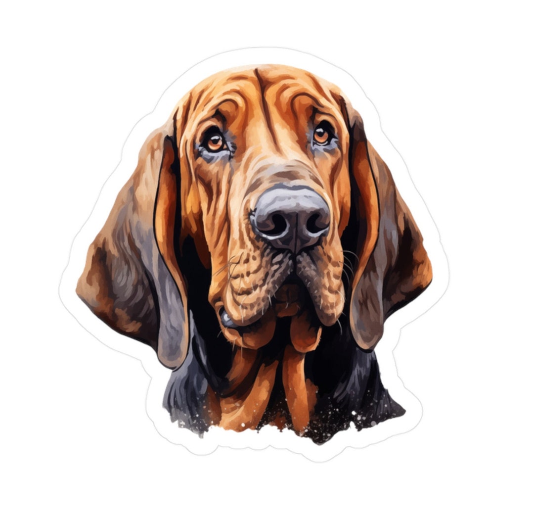 Bloodhound Sticker - Vinyl Dog Decals - Pet Sticker - Etsy
