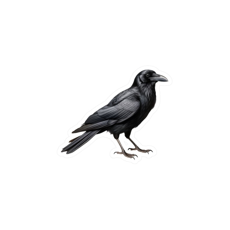 Crow Sticker Bird Vinyl Decal Car Decal Laptop Sticker Window Decal - Etsy
