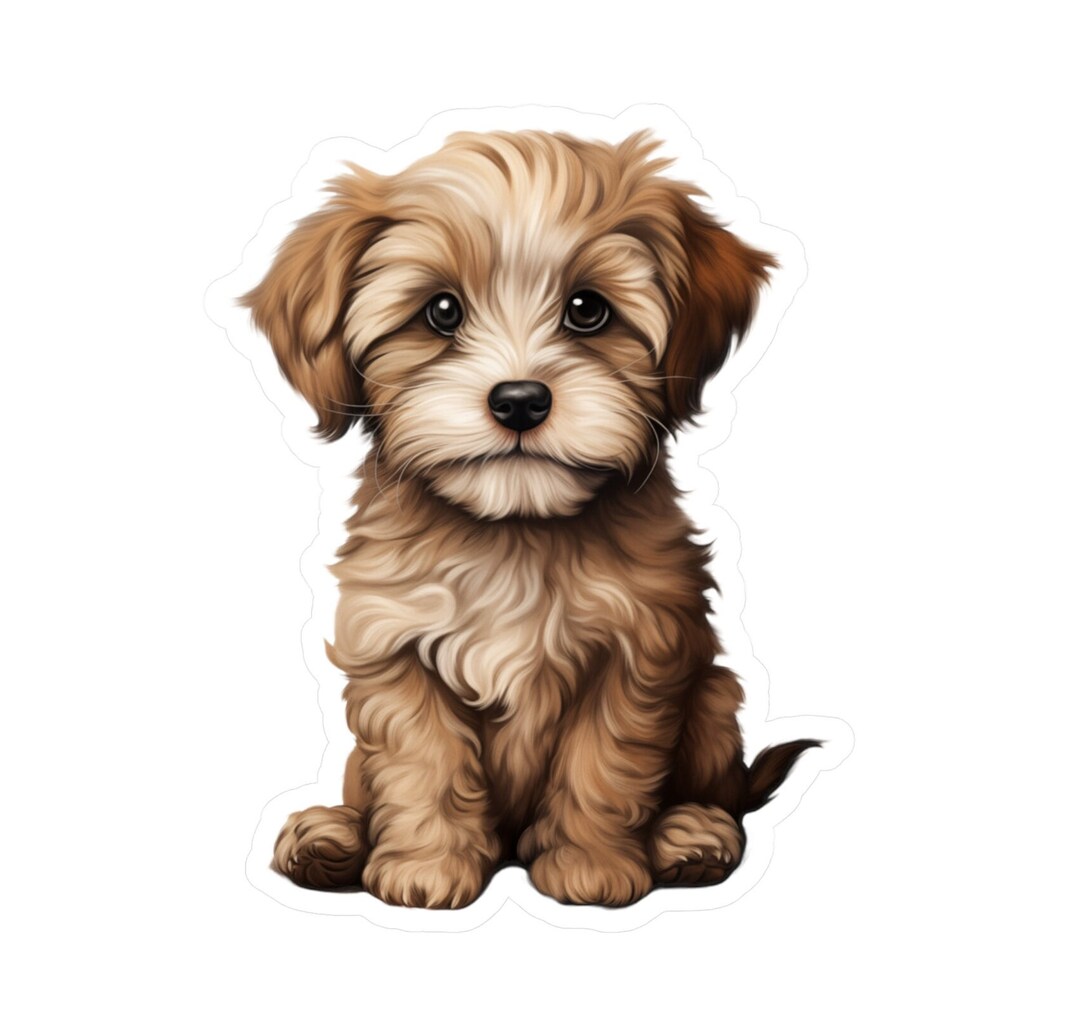 Shihpoo Sticker - Kiss-cut Vinyl Dog Decals - Pet Car Decal - Dog ...