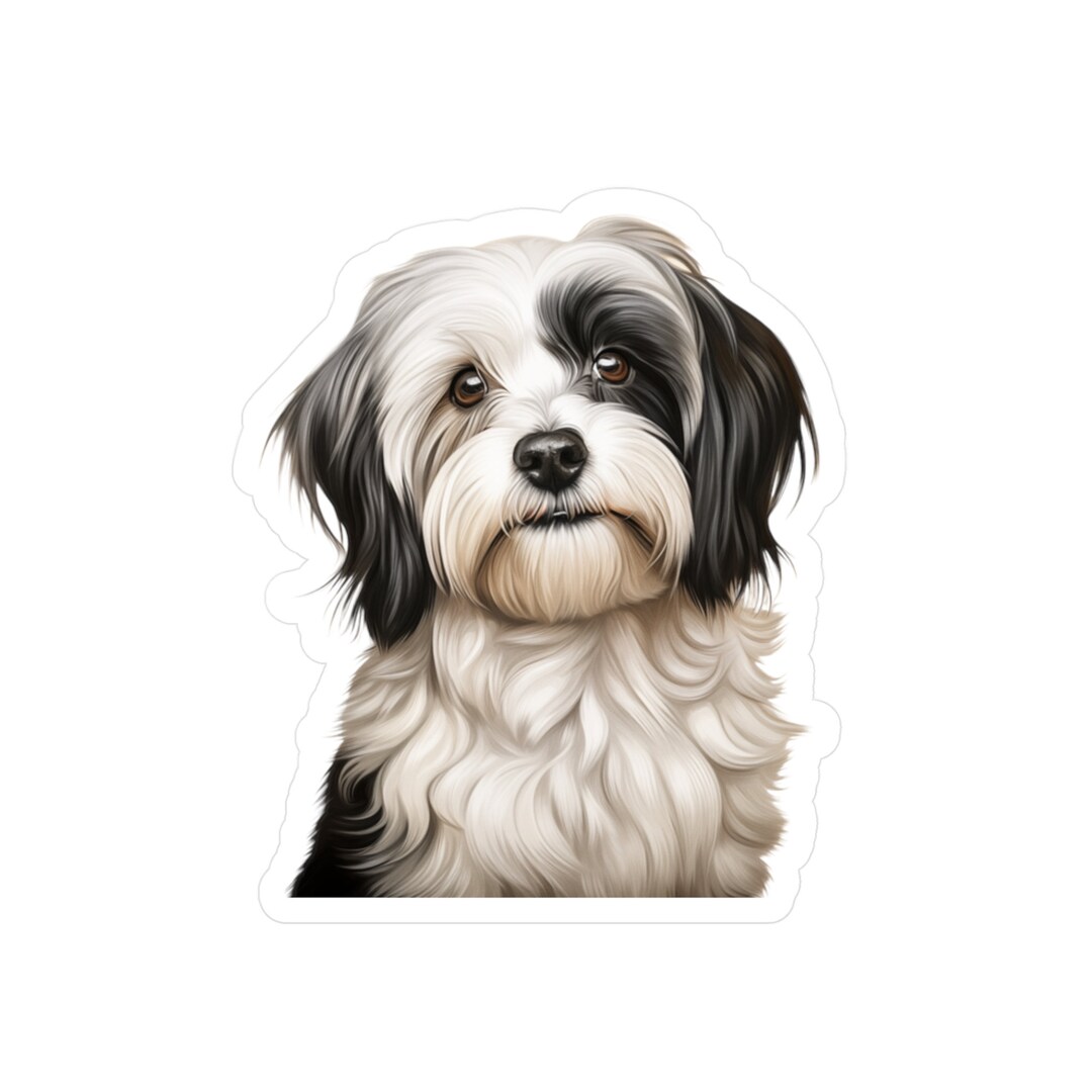 Havanese Sticker - Vinyl Dog Decals - Pet Car Decals - Etsy
