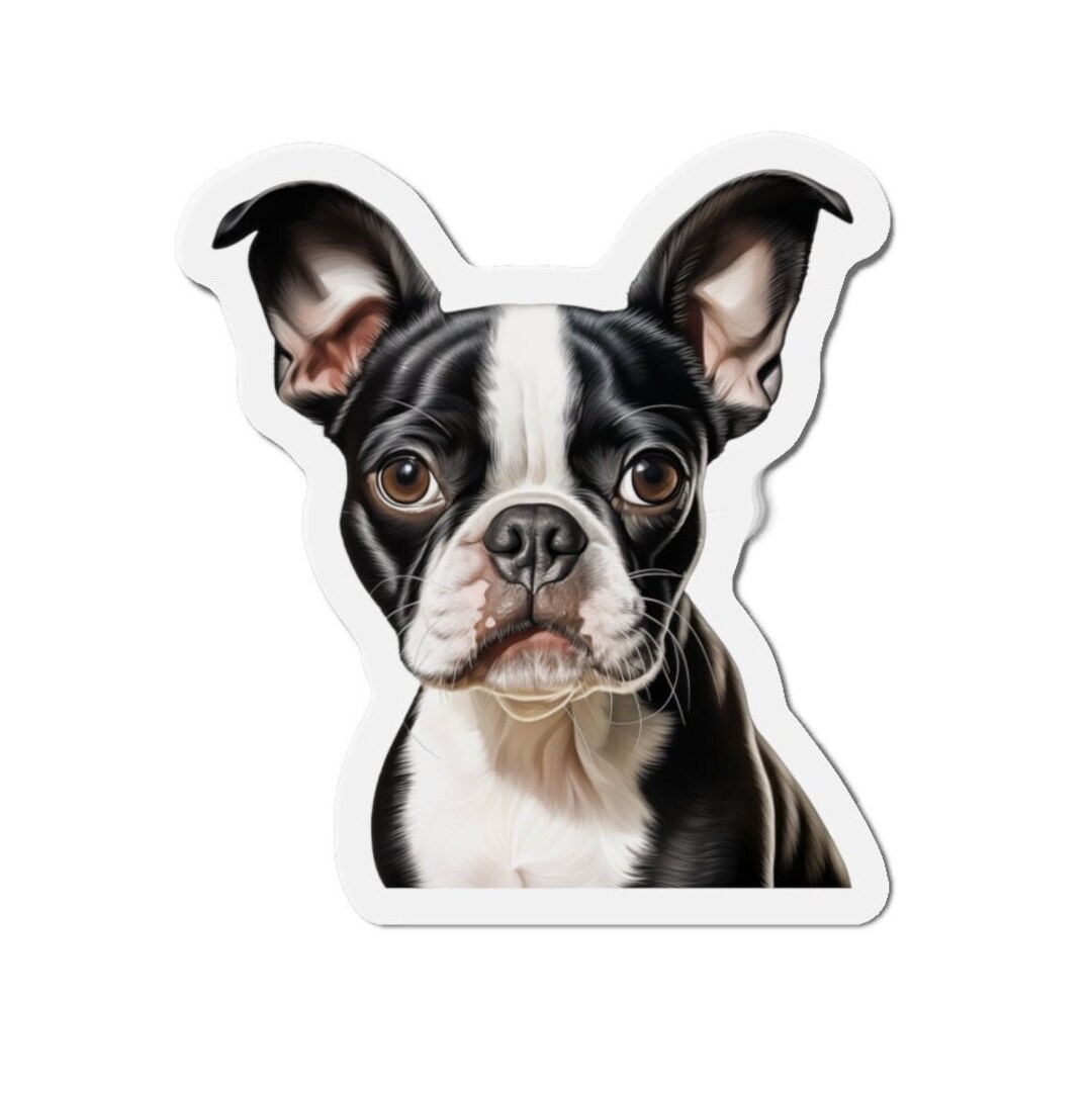 Boston Terrier Magnet | Die-cut Dog Fridge Magnet | Pet Kitchen Decor ...