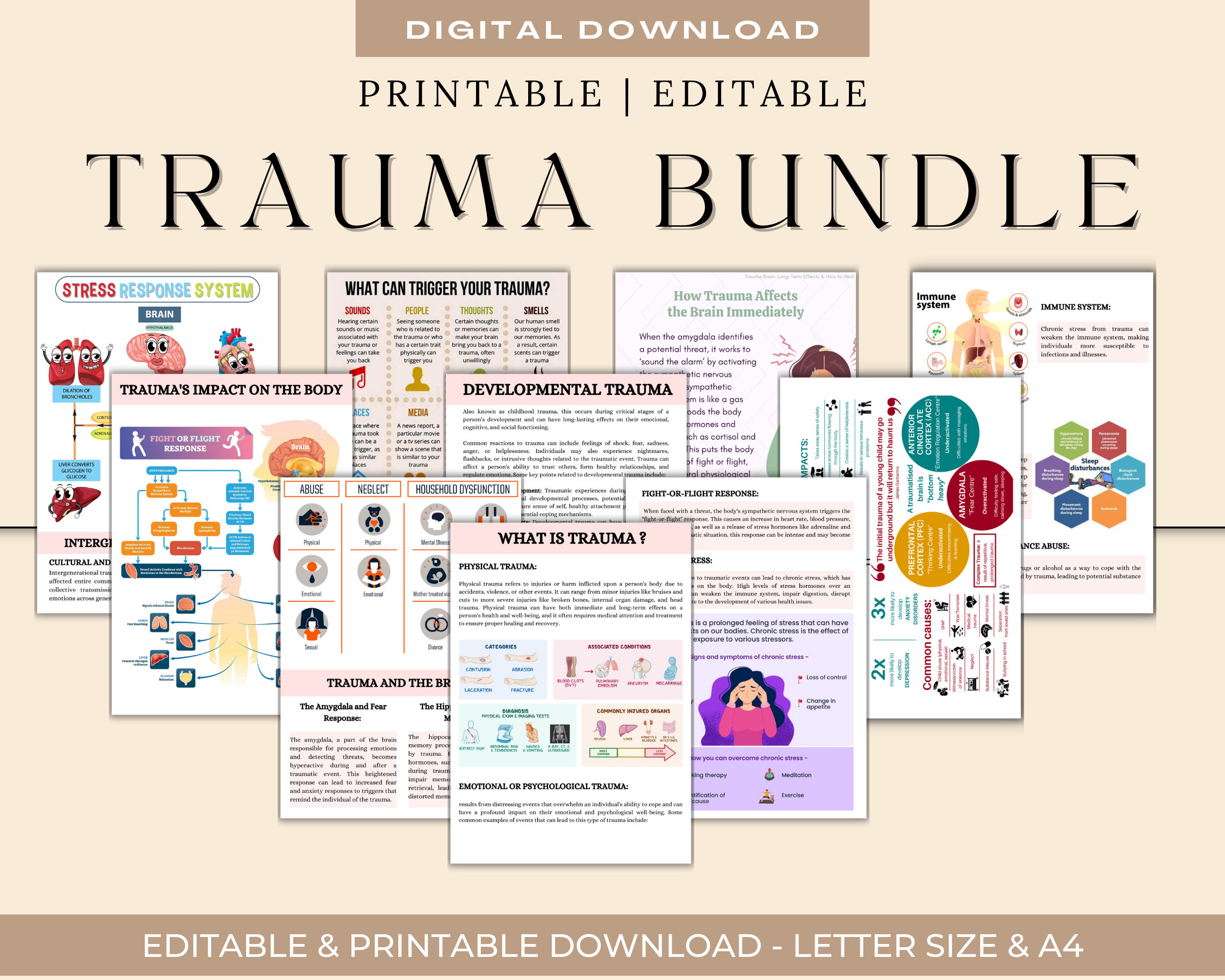 Trauma and Trauma Informed Care Educational Bundle - Etsy