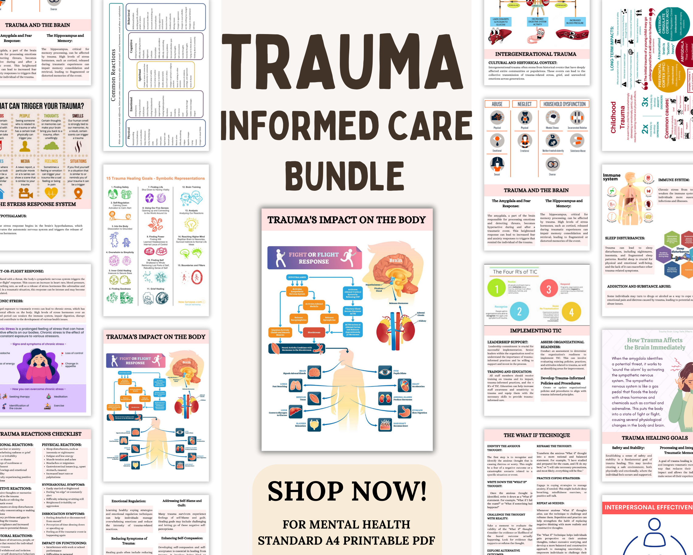 Trauma and Trauma Informed Care Educational Bundle - Etsy