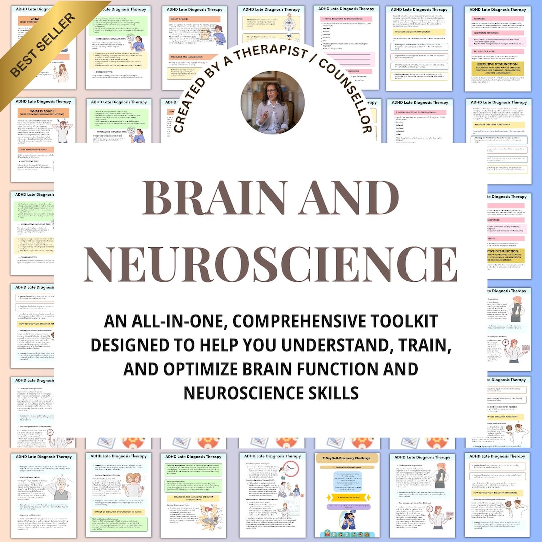 Brain Anatomy Neuroscience Study Guide, Neuro Study Notes (digital ...