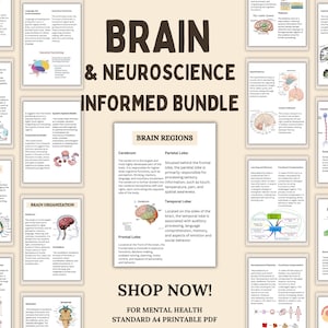 Brain & Neuroscience Therapy Bundle: Psychoeducation Resource (digital ...