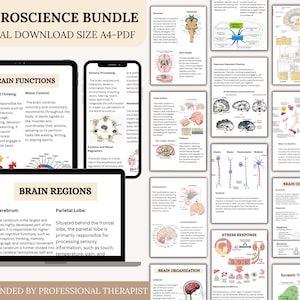 Brain & Neuroscience Therapy Bundle: Psychoeducation Resource (digital ...