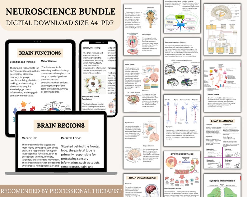Brain & Neuroscience Therapy Bundle: Psychoeducation Resource (digital ...