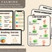 Calming Corner Poster Bundle: Kids Emotions, Self Regulation (digital ...