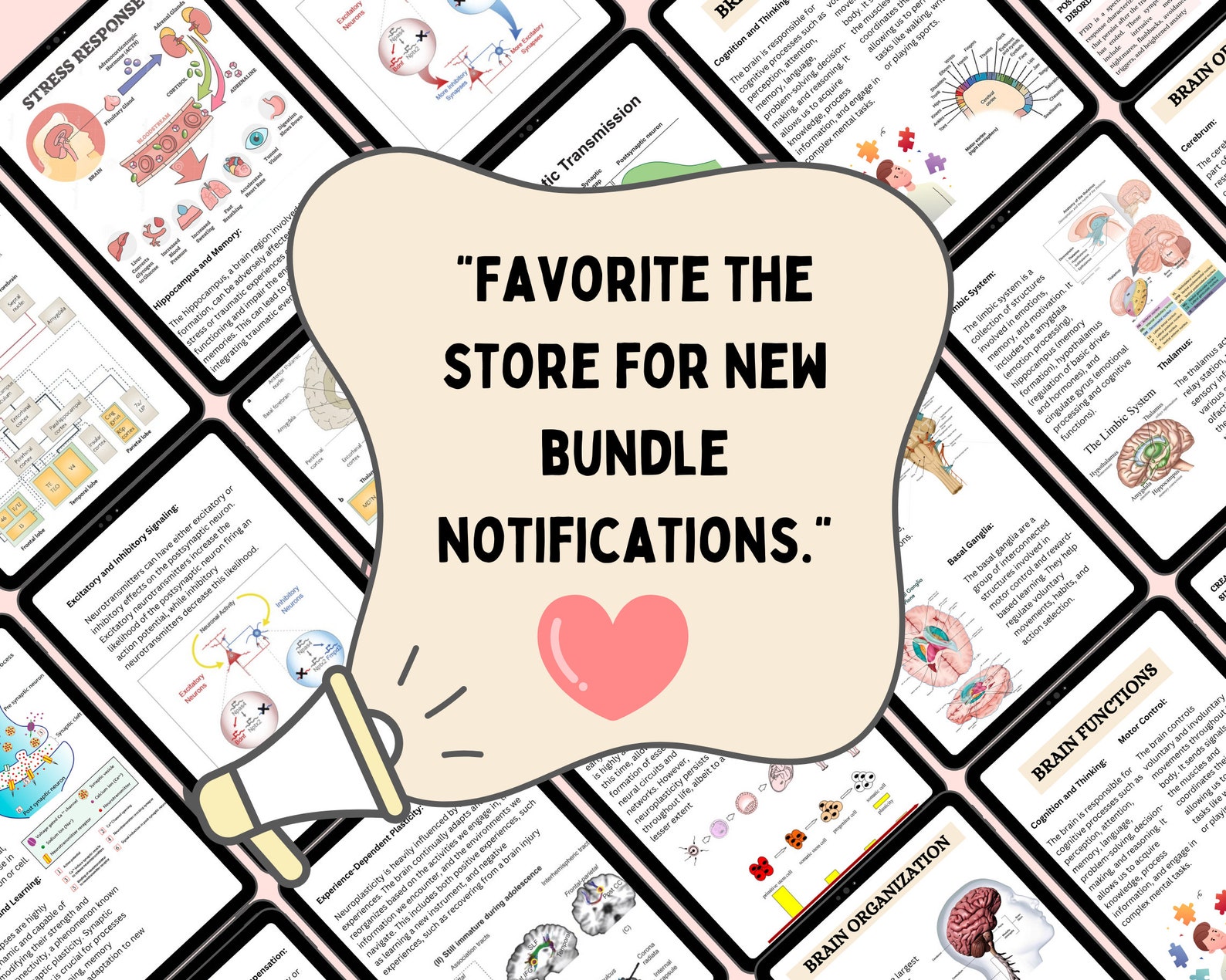 Brain & Neuroscience Therapy Bundle: Psychoeducation Resource (digital ...