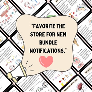 Understanding Your Brain When You Flip Your Lid, Brain and Neuroscience ...