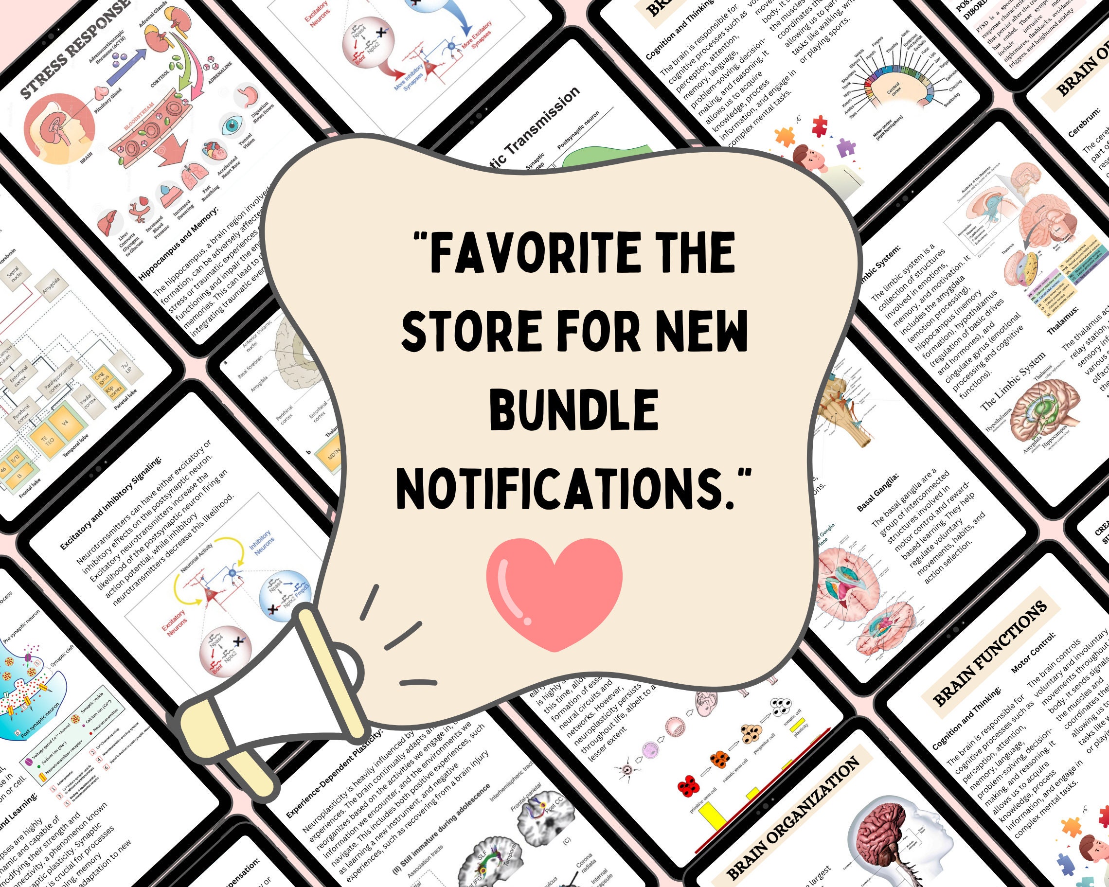 Brain & Neuroscience Therapy Bundle: Psychoeducation Resource (digital ...