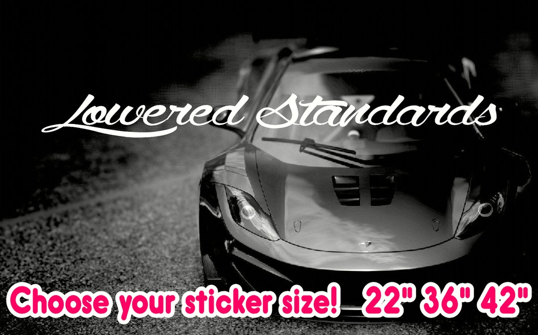 WHITE Lowered Standards Vinyl Sticker for Truck Windows - Etsy