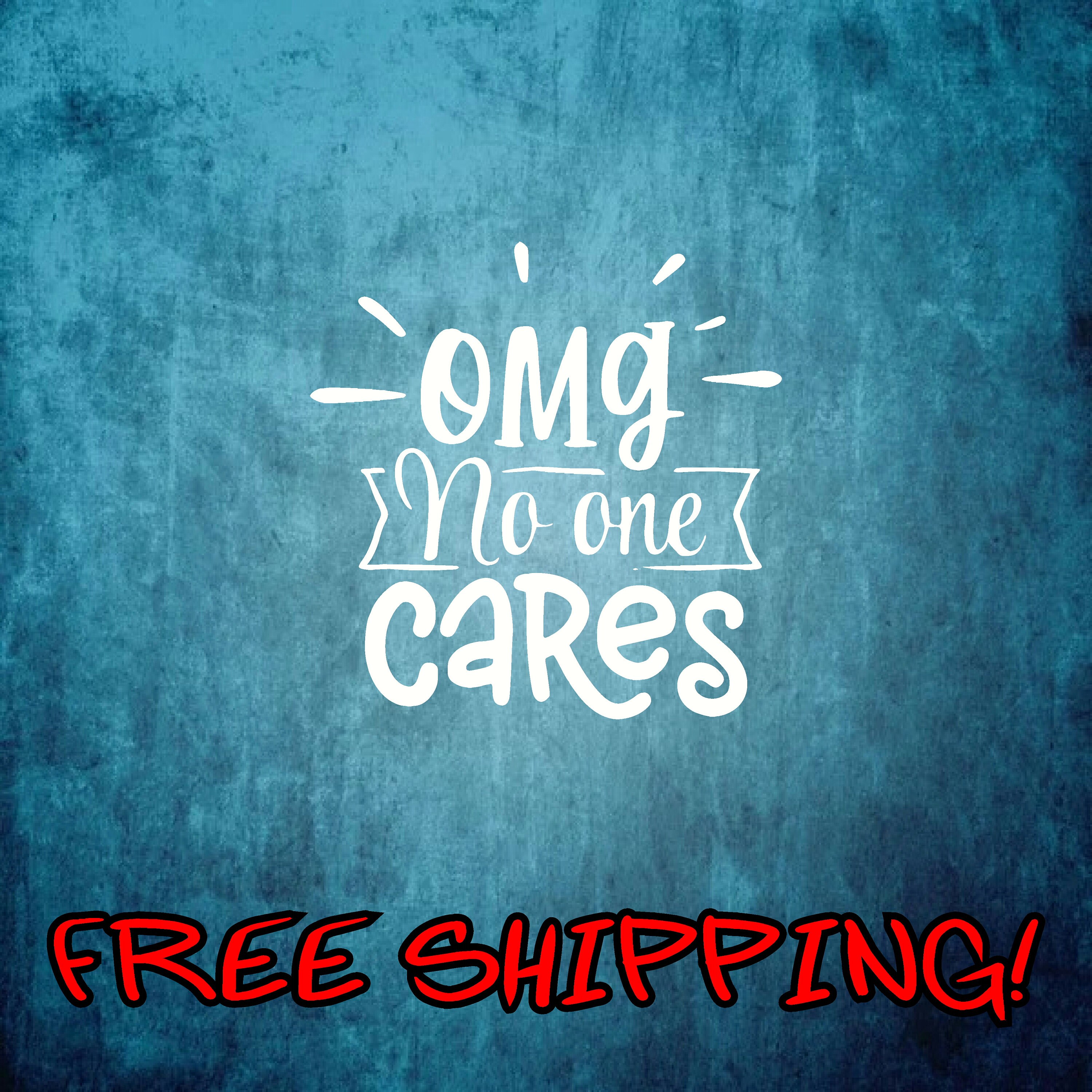 X1 OMG No One Cares Sticker Decal for Car Windows Laptops - Etsy