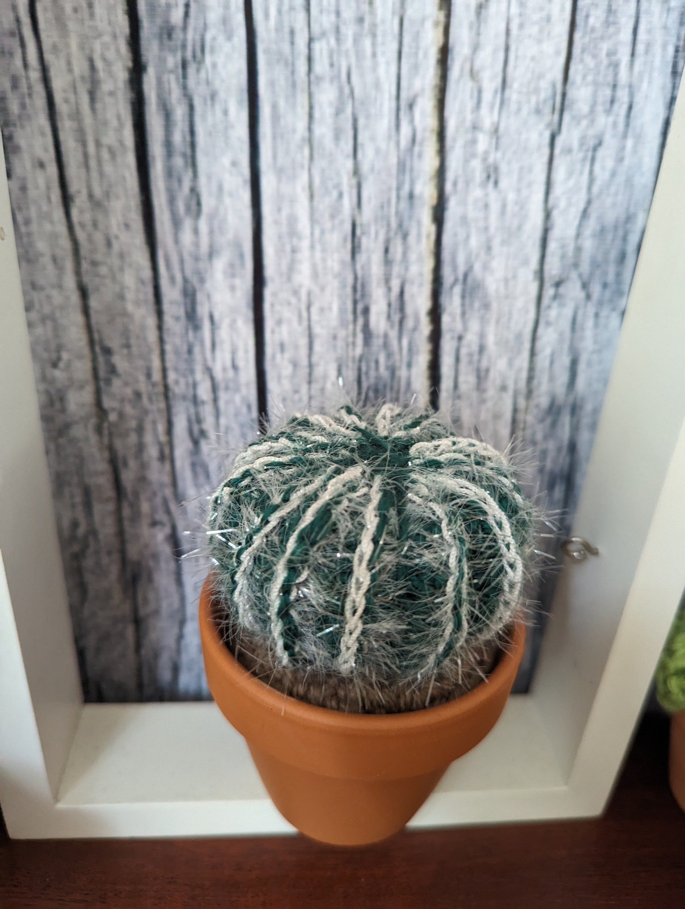Handmade Realistic Crochet Barrel Cactus Cute and Whimsical - Etsy