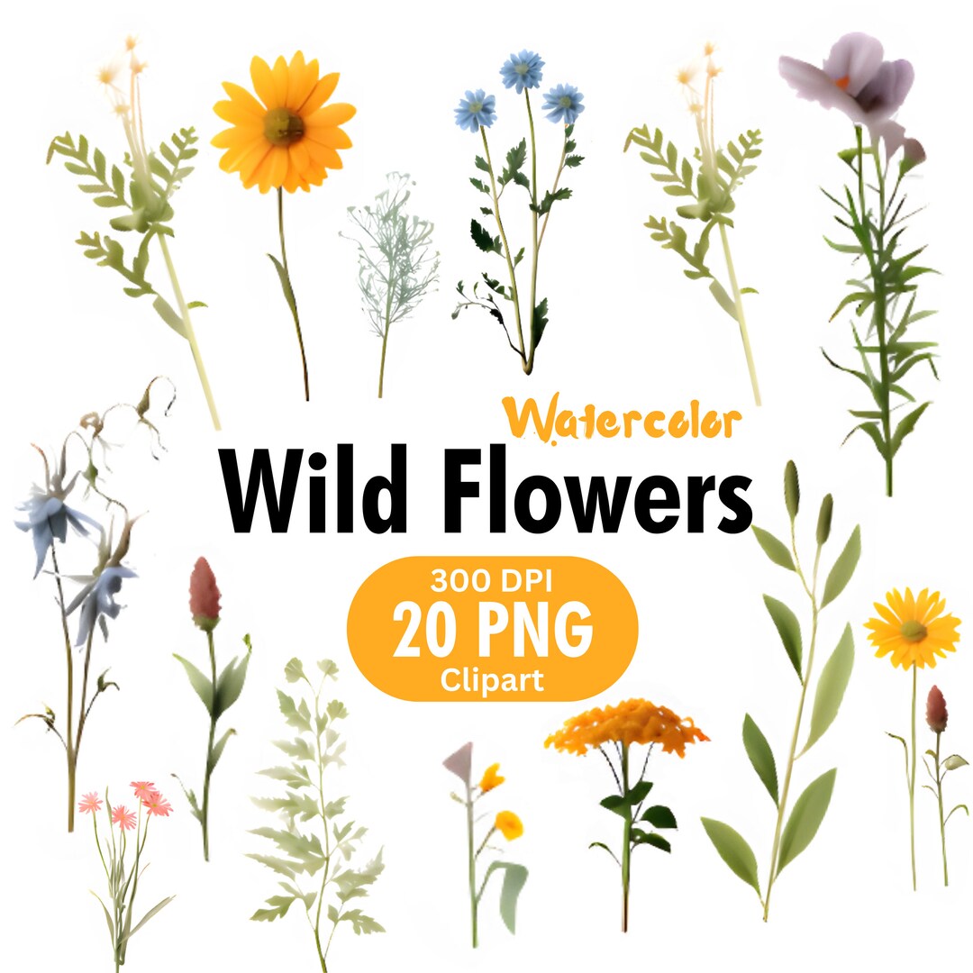 Wildflower Watercolor Clipart Rustic Elegant Blooms, Botanical Floral ...