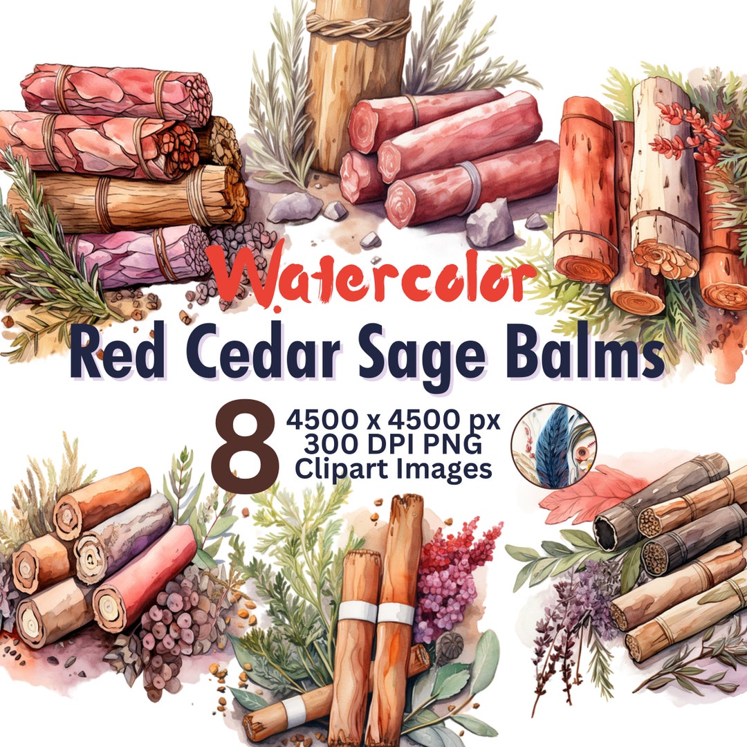 Watercolor Cedar Sage Balms Clipart Ideal for Scrapbooking, Decoupage ...