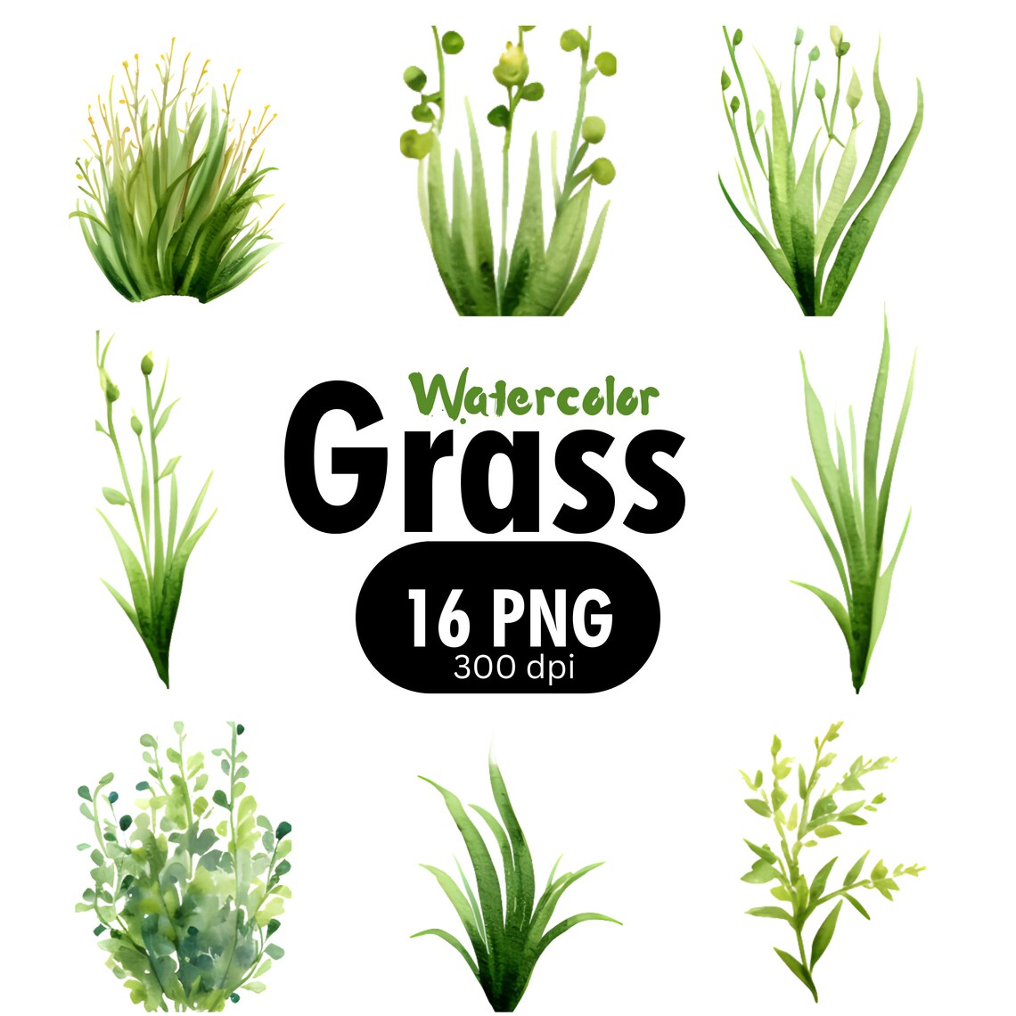 Watercolor Grass Clipart - Spring Grass Tufts PNG - Botanical PNG Files ...