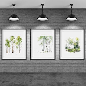 Watercolor Spring Birch Trees Clipart - Springtime Birch Forest PNG ...