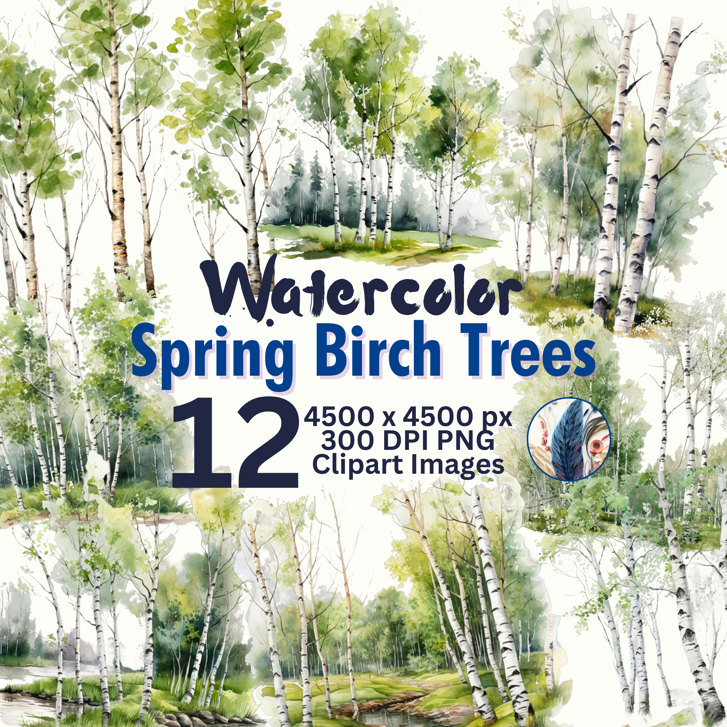 Watercolor Spring Birch Trees Clipart - Springtime Birch Forest PNG ...
