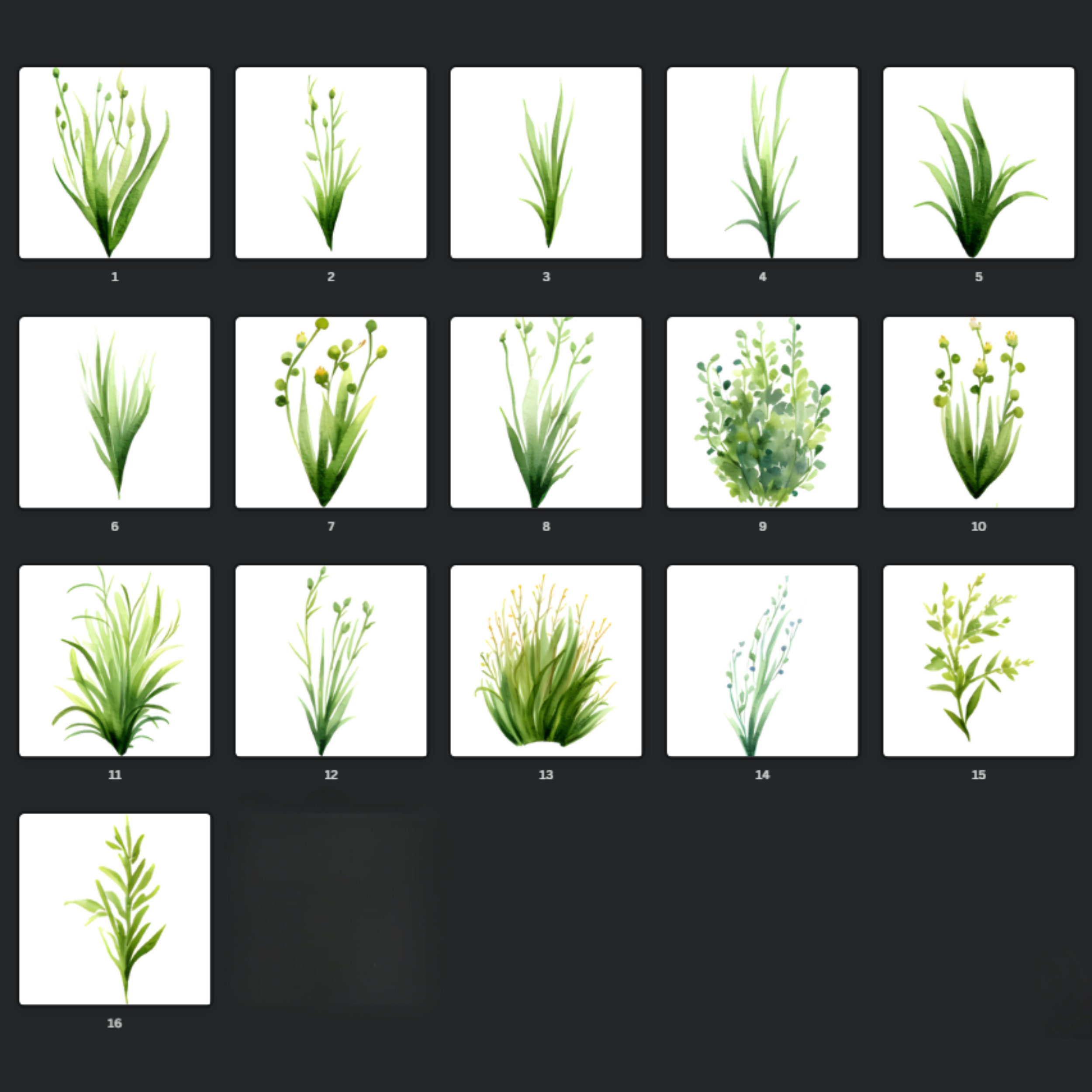 Watercolor Grass Clipart - Spring Grass Tufts PNG - Botanical PNG Files ...