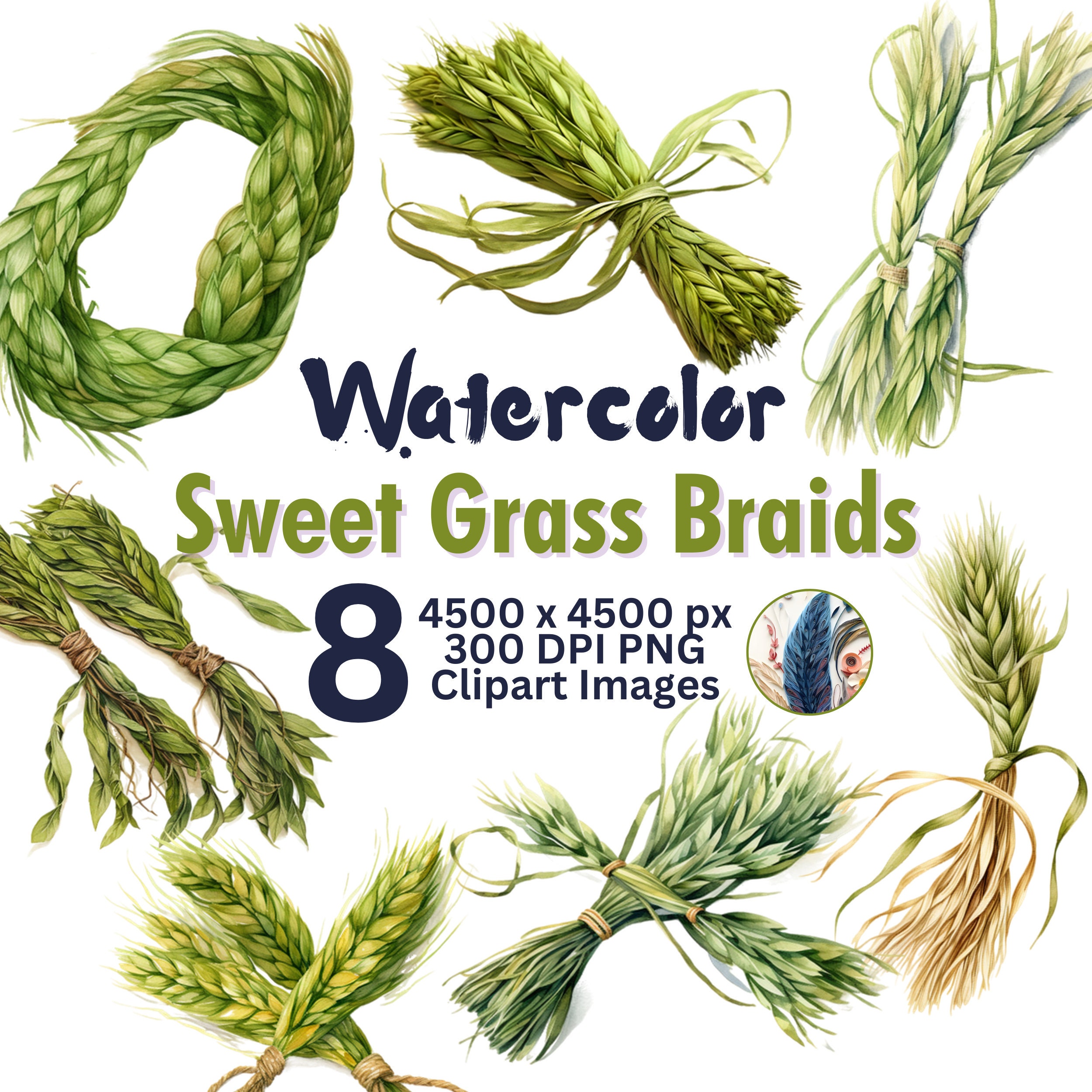 Watercolor Sweet Grass Braids Clipart PNG - Etsy