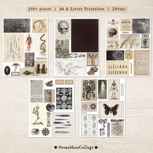 ODDITIES Vintage Collage Kit, Collage Sheet, Gothic, Creepy, Macabre ...