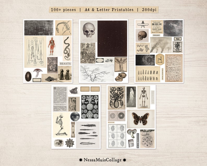 ODDITIES Vintage Collage Kit, Collage Sheet, Gothic, Creepy, Macabre ...
