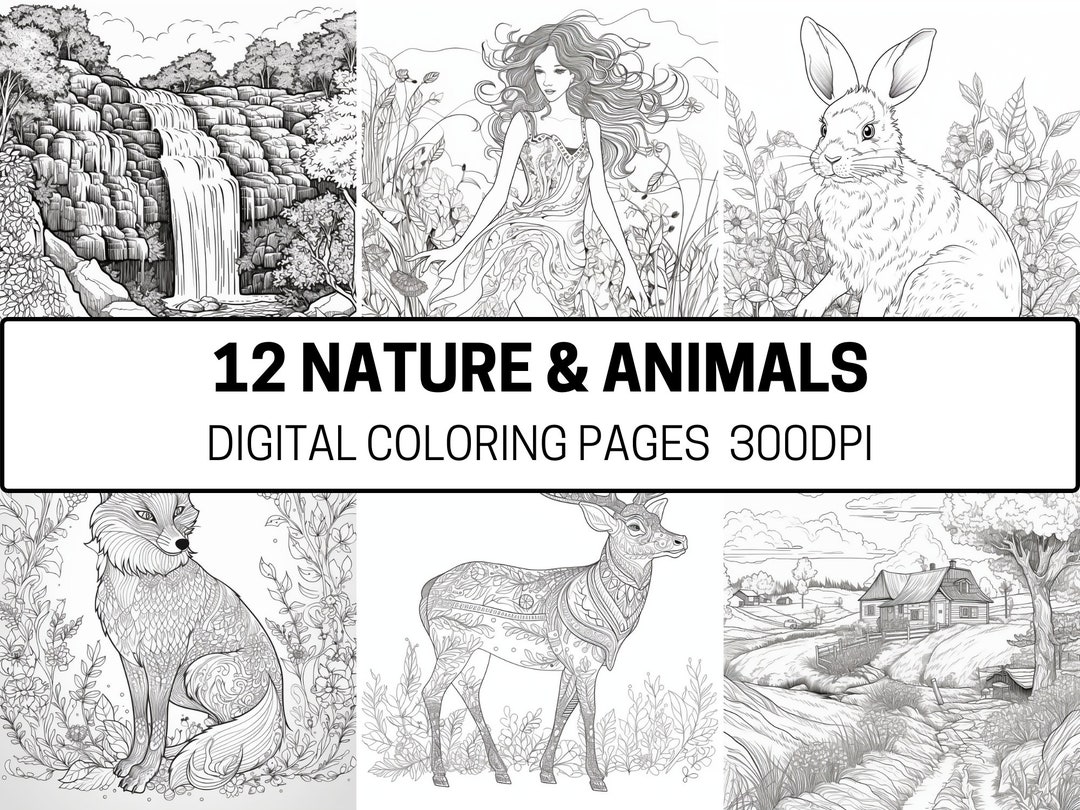 12 Beautiful Nature Coloring Pages, Digital Adult Coloring Book, PNG ...