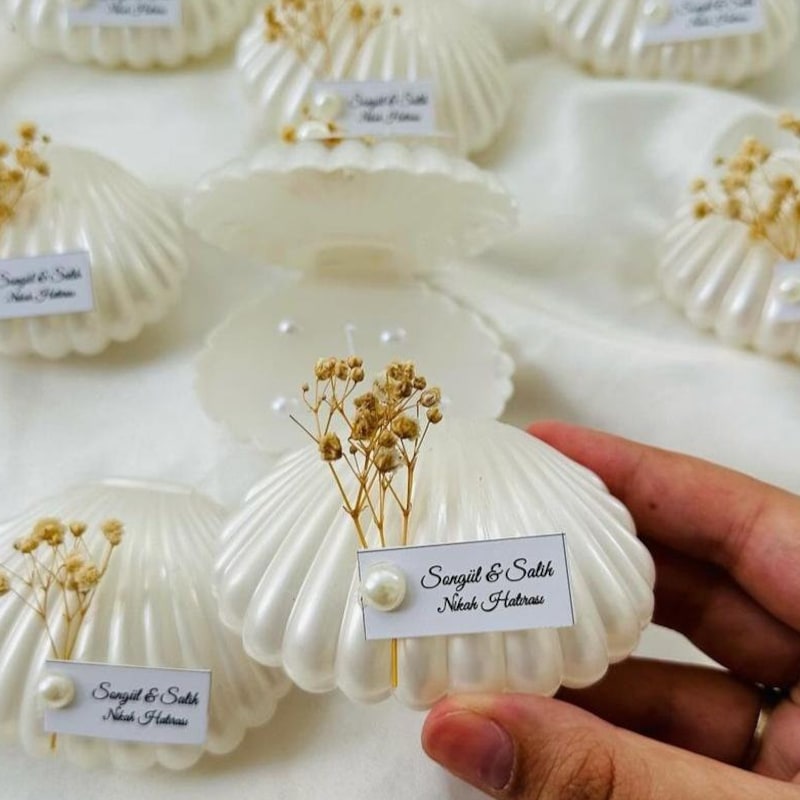 Seashell Favors - Etsy