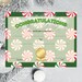 Christmas Certificate, Printable Holiday Certificate, Editable ...