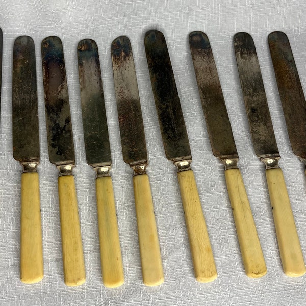 Civil War Era - Etsy