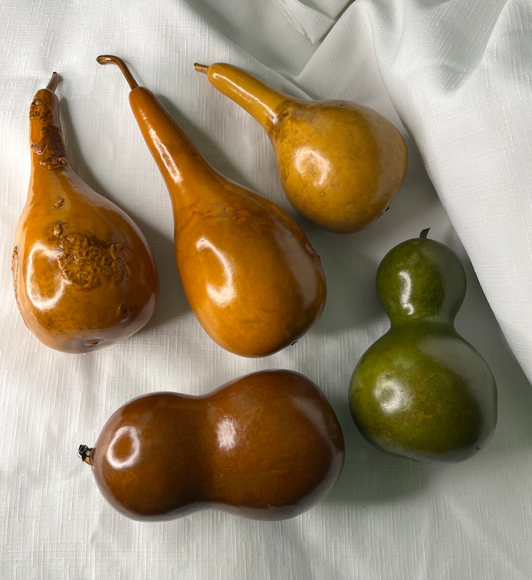 Dried and Painted Gourds (5), Apple Gourd (1), for Crafts or Home Decor ...