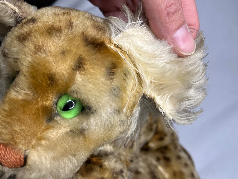Vintage Steiff Reclining Leopard, Glass Eyes, Stitched Nose, Eyes Glow ...