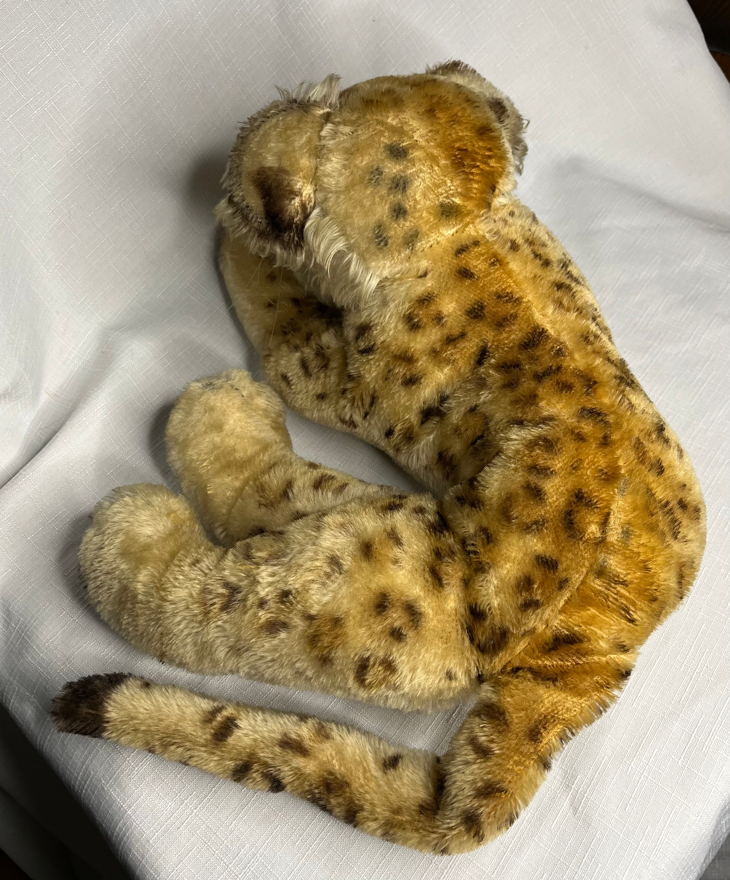 Vintage Steiff Reclining Leopard, Glass Eyes, Stitched Nose, Eyes Glow ...