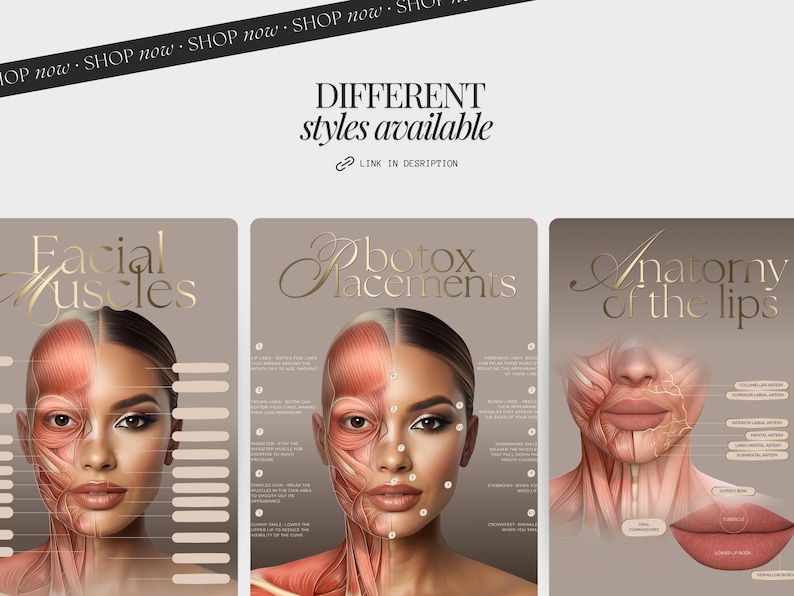 Canva | Poster Template | Facial Muscles Art | Botox & Filler Injector ...