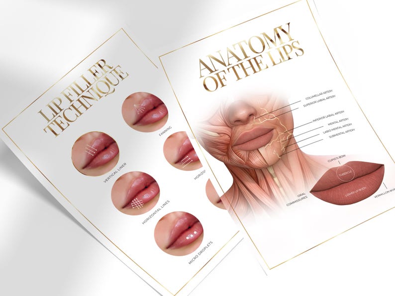 Canva | Poster Template | Facial Muscles | Botox & Filler Injector ...